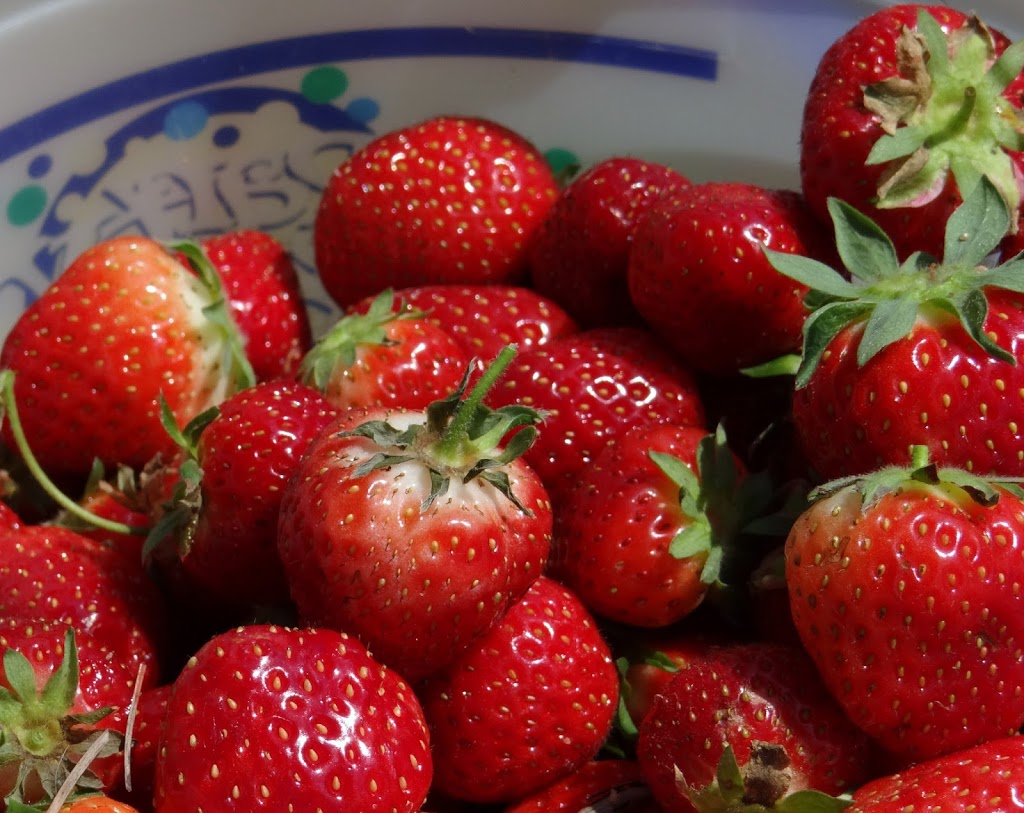 Making Strawberry Jam Rural Mom