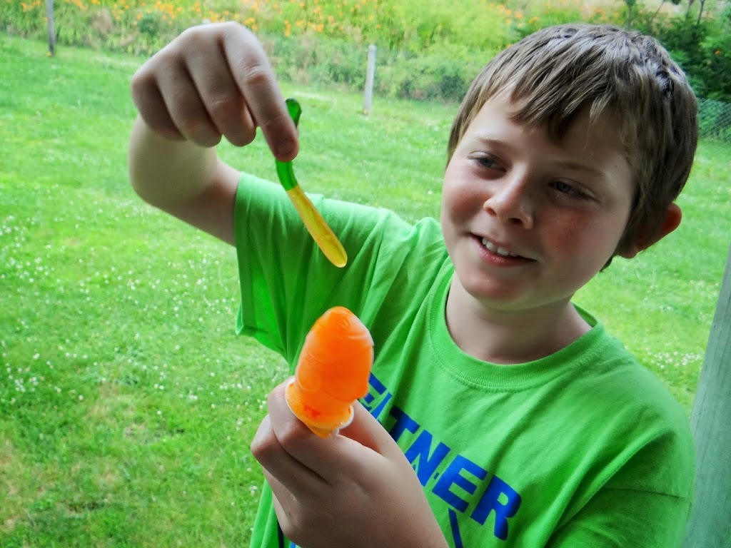 Our Favorite Catch of the Summer: Fish Pops! Rural Mom