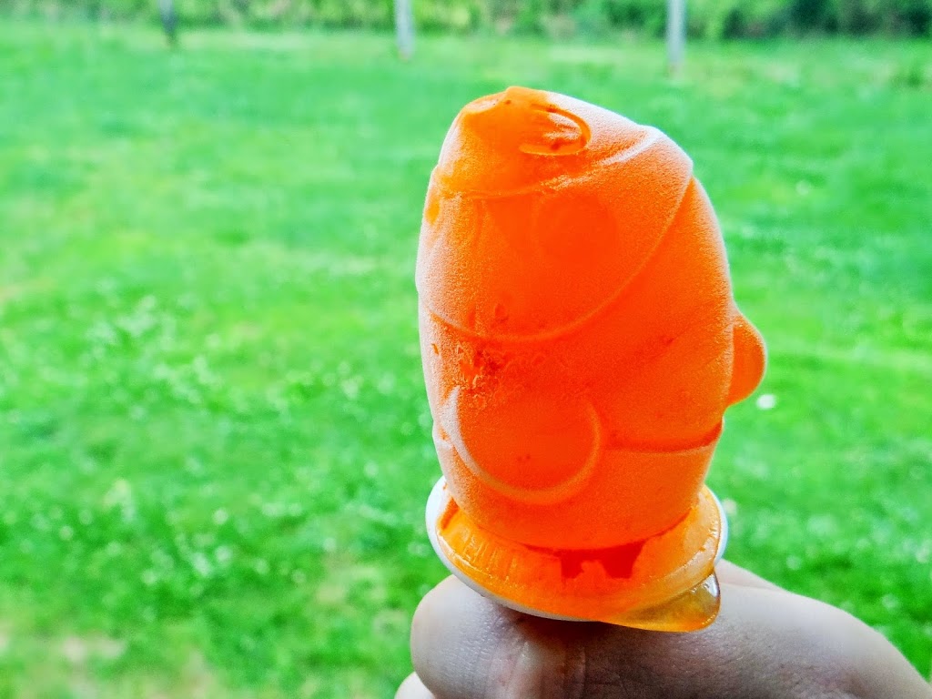 Our Favorite Catch of the Summer: Fish Pops! Rural Mom