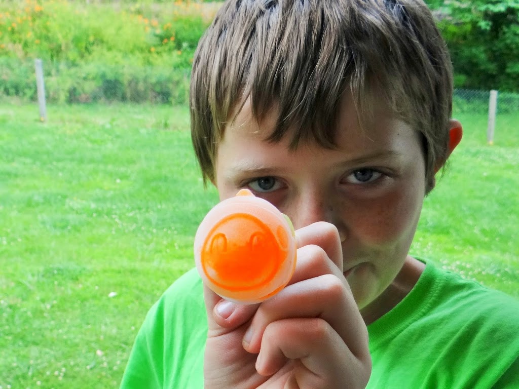 Our Favorite Catch of the Summer: Fish Pops! Rural Mom