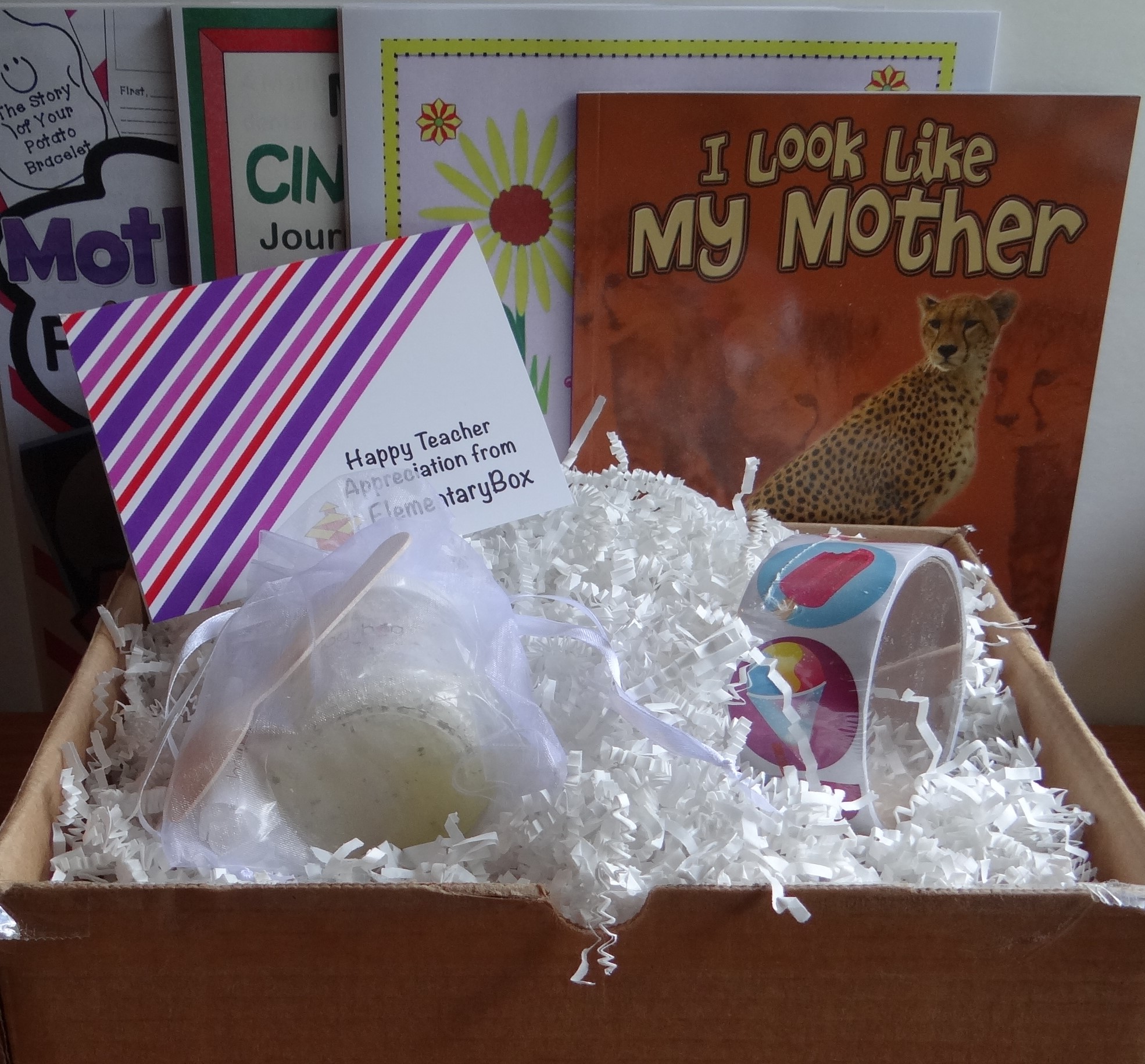 Show A Teacher Your Appreciation with Elementary Box Rural Mom