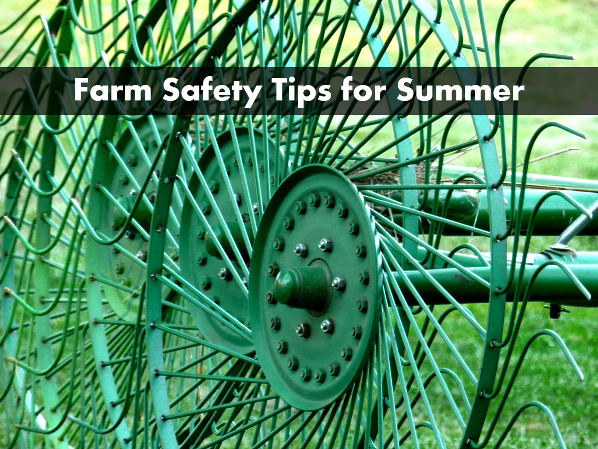 5 Simple Steps To Farm Safety This Summer Rural Mom