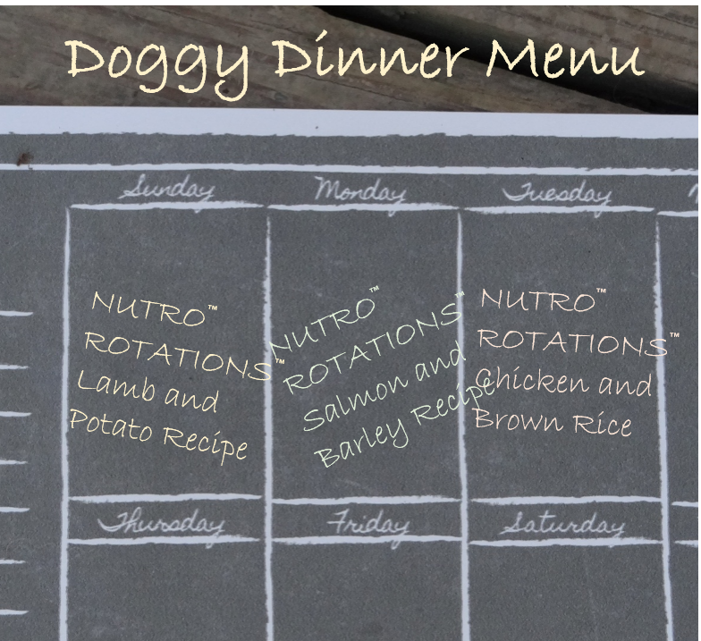 What's on your dog's dinner menu this week? #HonestToDog Rural Mom