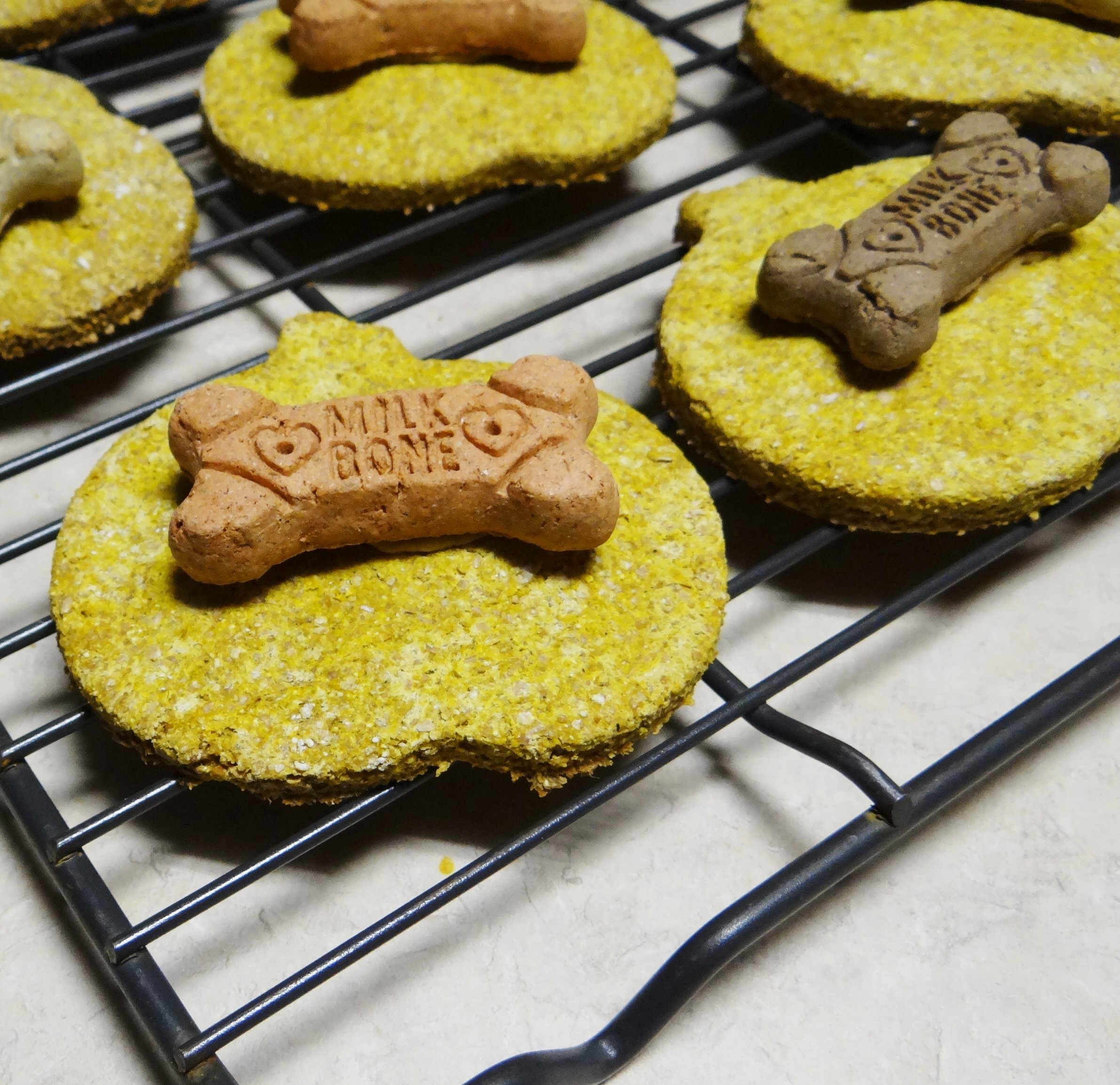 Halloween Pumpkin Peanut Butter Dog Treats Recipe TreatThePups Rural Mom