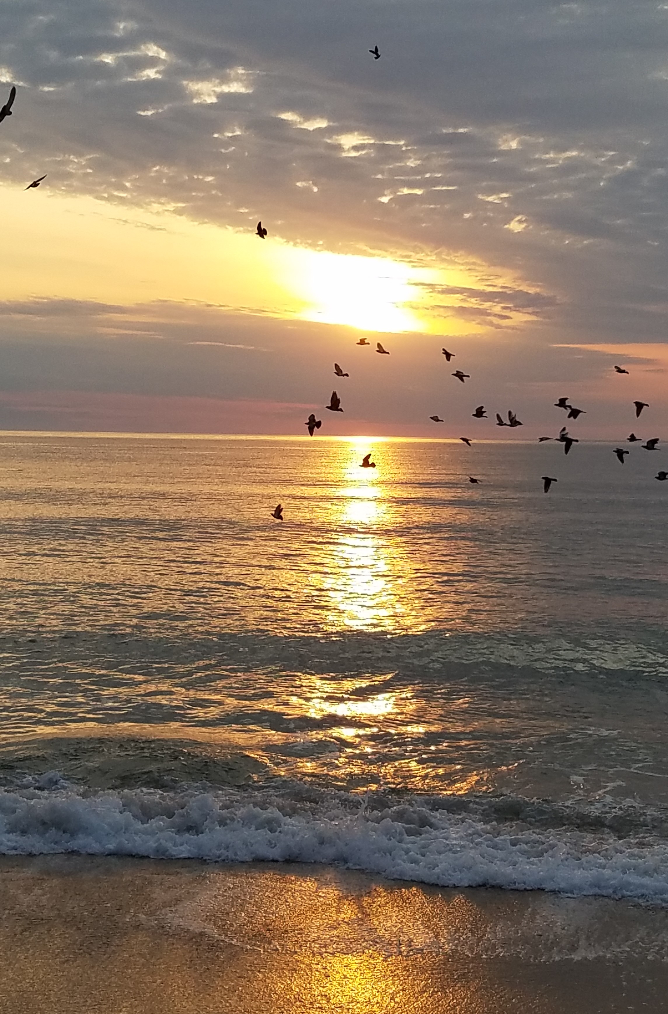 Discover Paradise in the Outer Banks at the Sanderling Resort Rural Mom