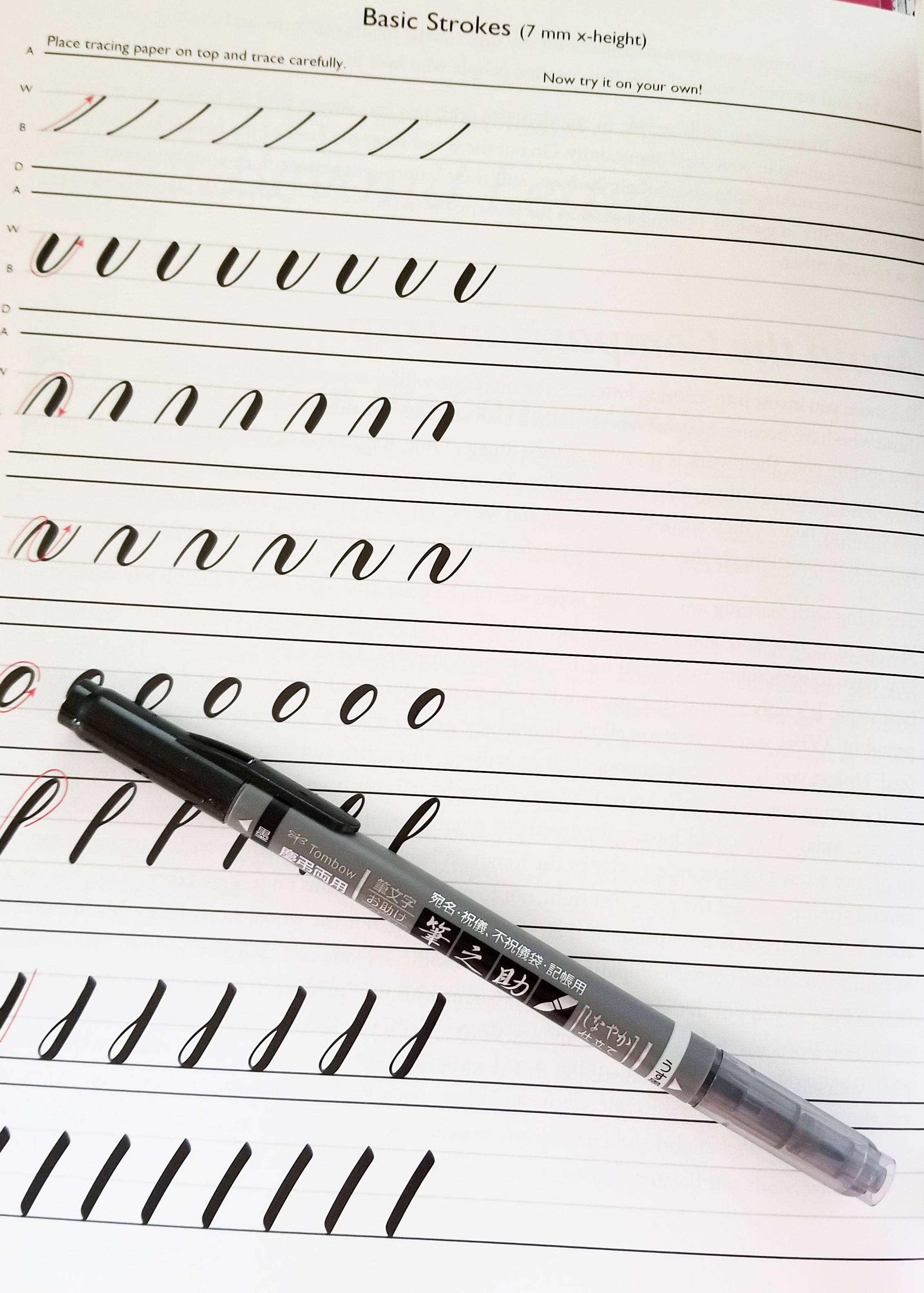 Brush Pen Lettering- The Art of Drawing Fancy Letters Rural Mom