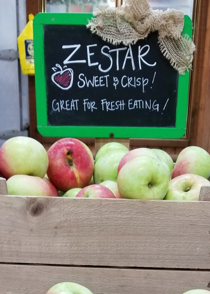 Snacks, Sips and Recipes for National Apple Month Rural Mom