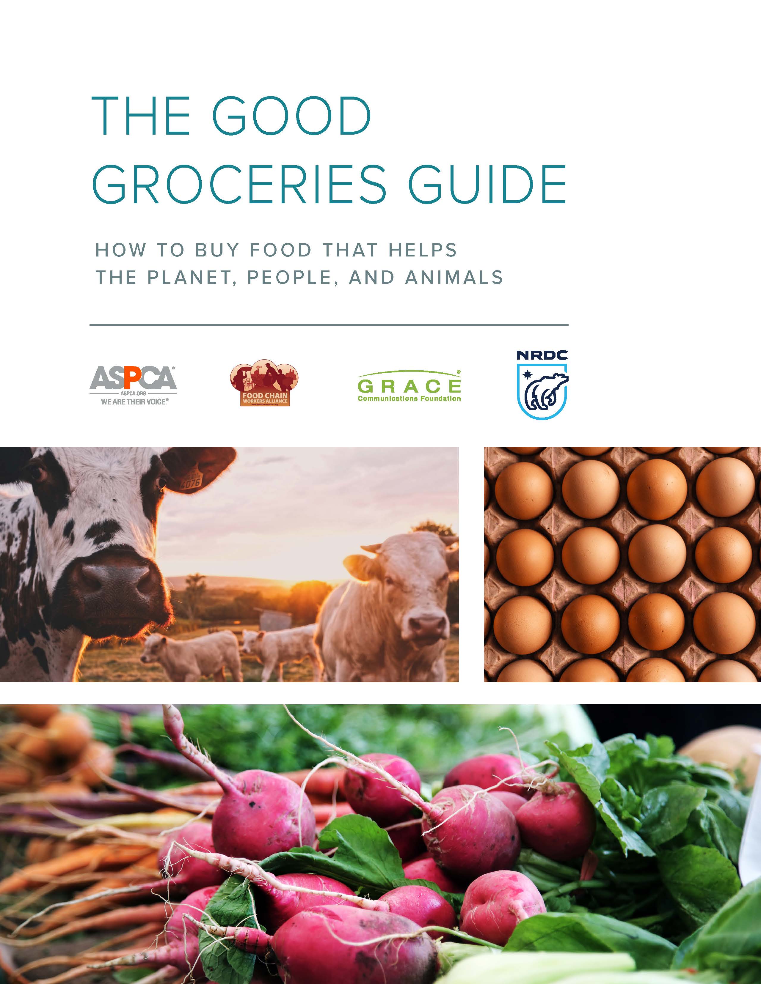 Tips for Healthy, Sustainable, Budget Friendly Menu Rural Mom