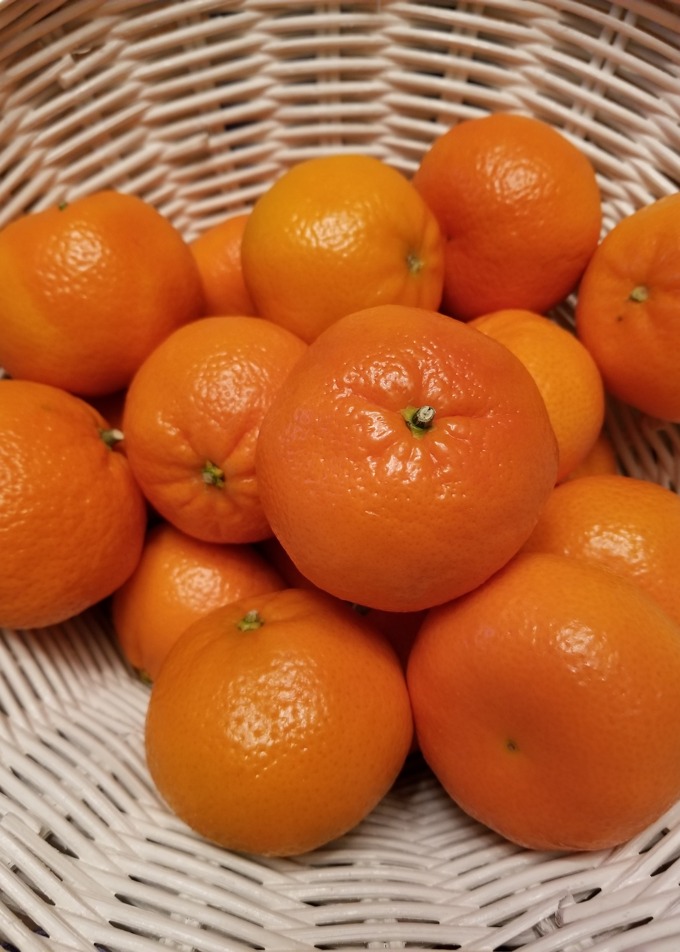 Add Pure Goodness to your Easter Celebration with Wonderful Halos Rural Mom
