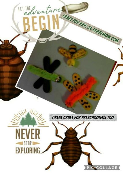 Bug Magnet Craft: Dragonflies, Bumblebees & Butterflies