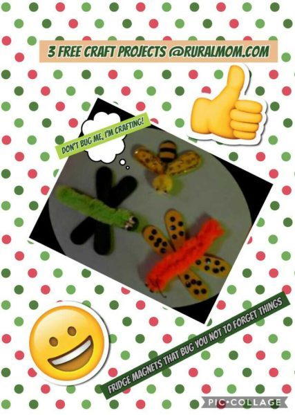Bug Magnet Craft: Dragonflies, Bumblebees & Butterflies
