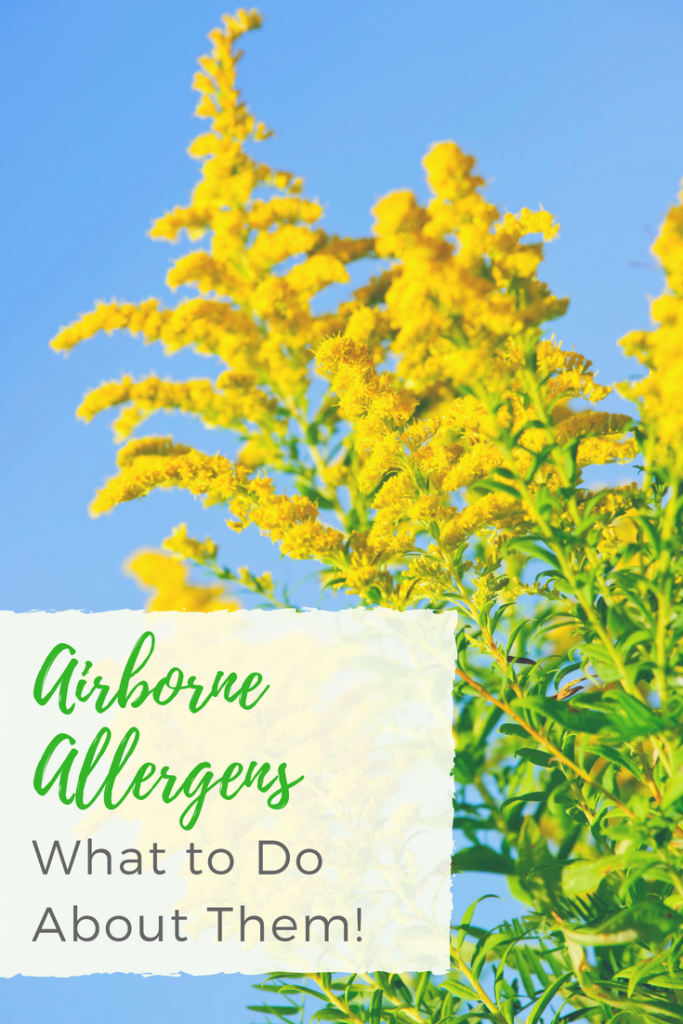 5 Airborne Allergens and What to Do About Them Rural Mom