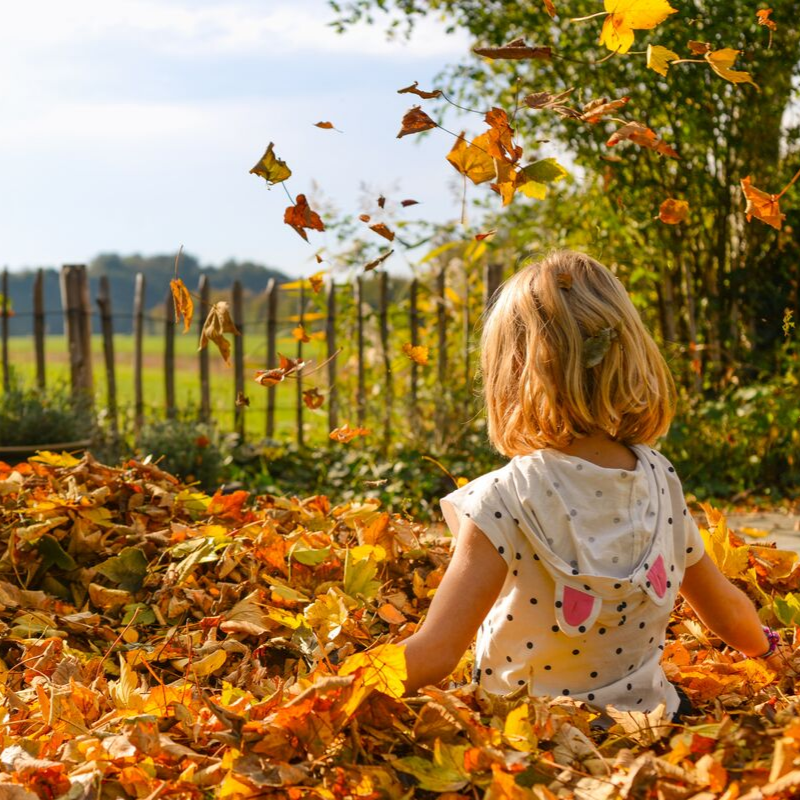 Fun Ways to Get Your Kids Excited About Raking Leaves Rural Mom